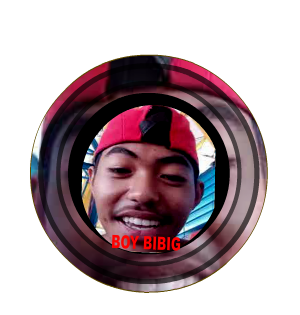 BOY BIBIG ! | Pet | RedAQ