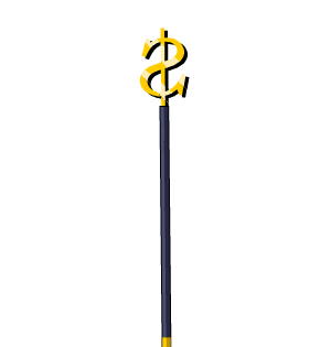 CC Money Staff! | (Weapon) Staff | RedAQ