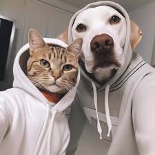 Fawnn | Character | RedAQ